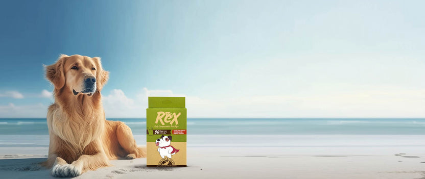 Earthtacular - Rex™ | Certified Compostable Pet Products